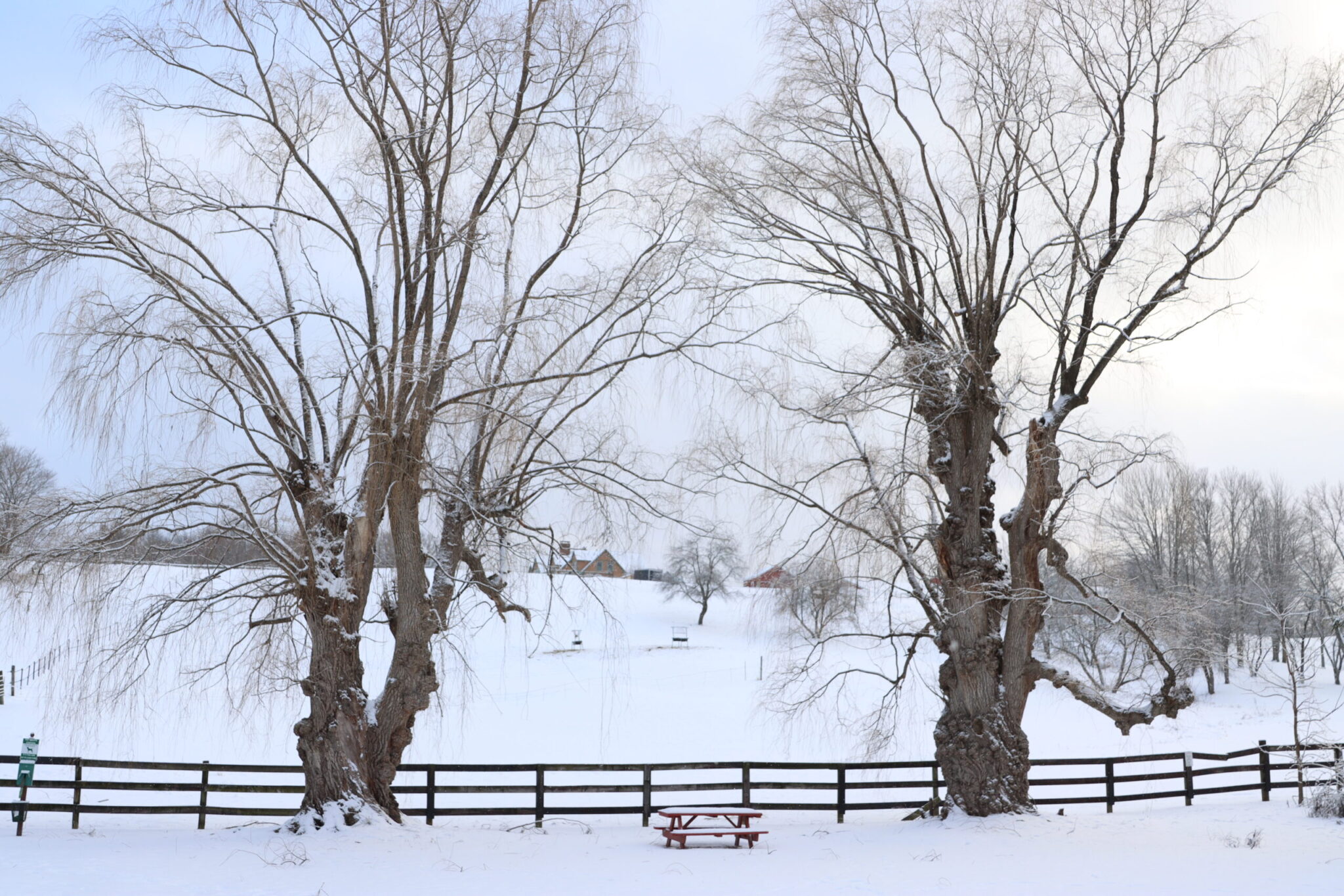 Home - Maple Terrace